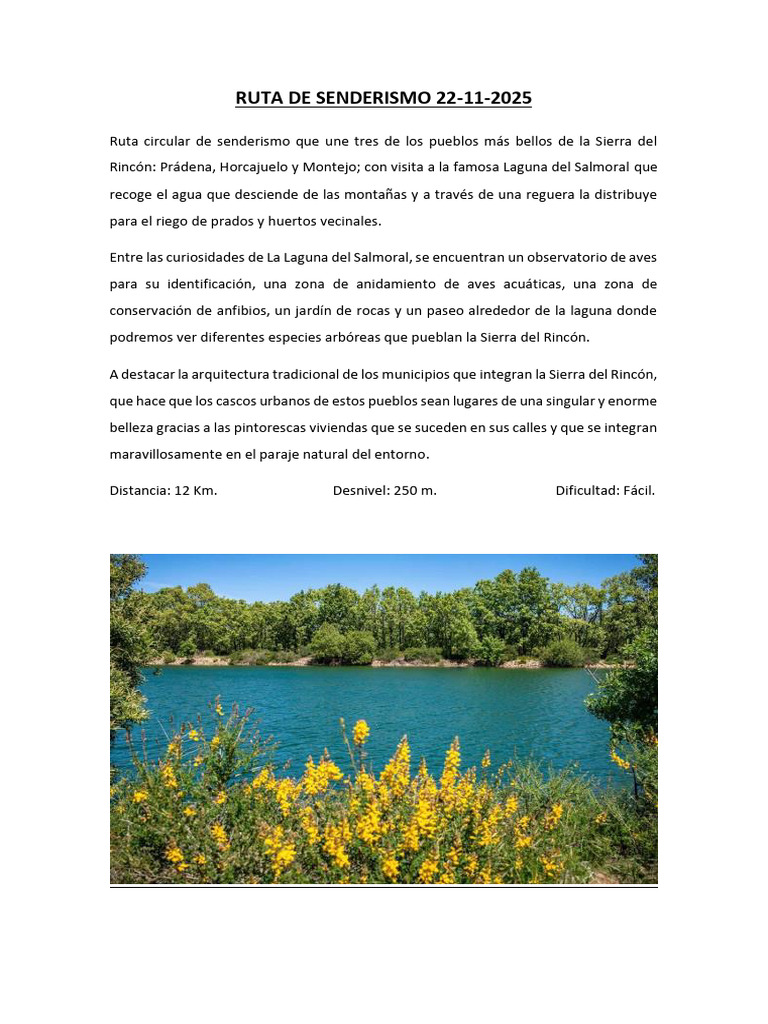 ACTIVIDADES FIN DE SEMANA - 2025-11-20T094911.646 (1) | PDF