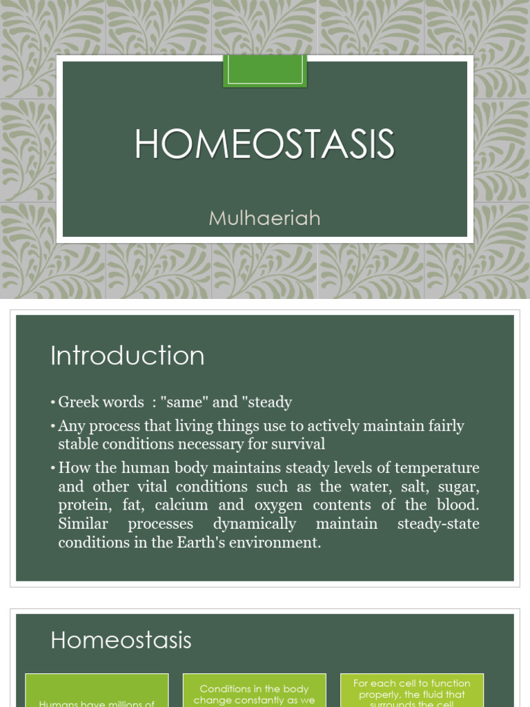 Understanding Homeostasis in Humans | PDF | Homeostasis | Physiology