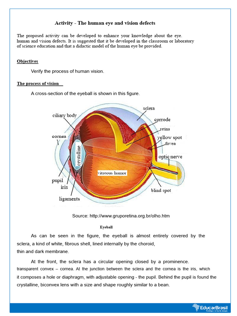 Activity The human eye and vision defects | PDF | Human Eye | Eye