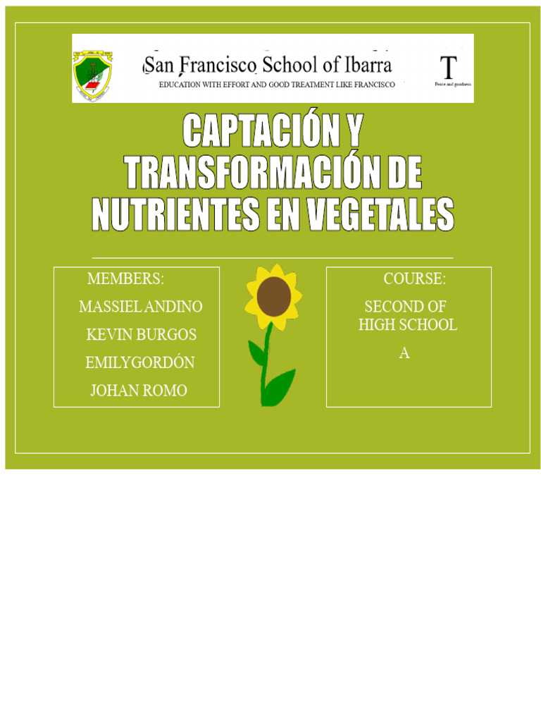 Uptake and Transformation of Nutrients in Plants | PDF | Soil | Plant ...