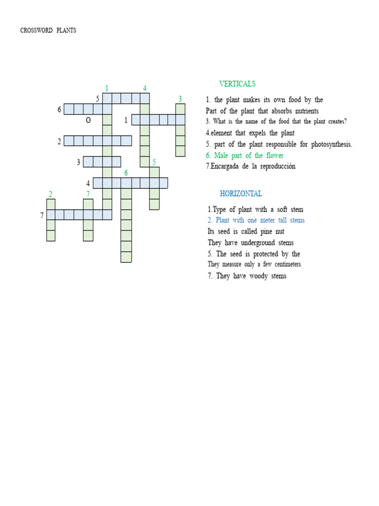 Crossword Puzzle: Plant Terminology | PDF