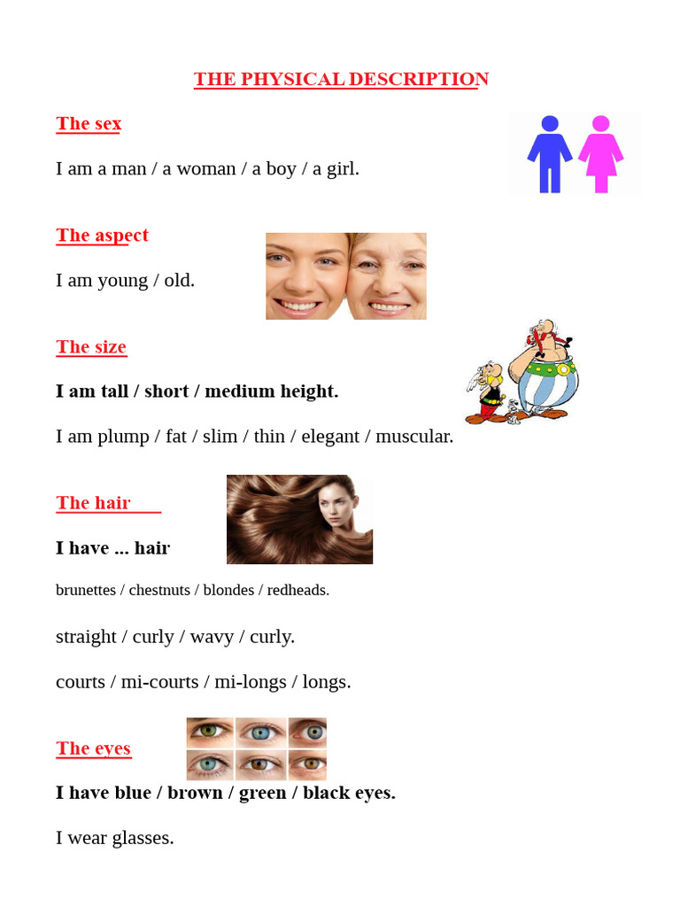Physical Description Guide: Gender, Size, Hair, Eyes | PDF
