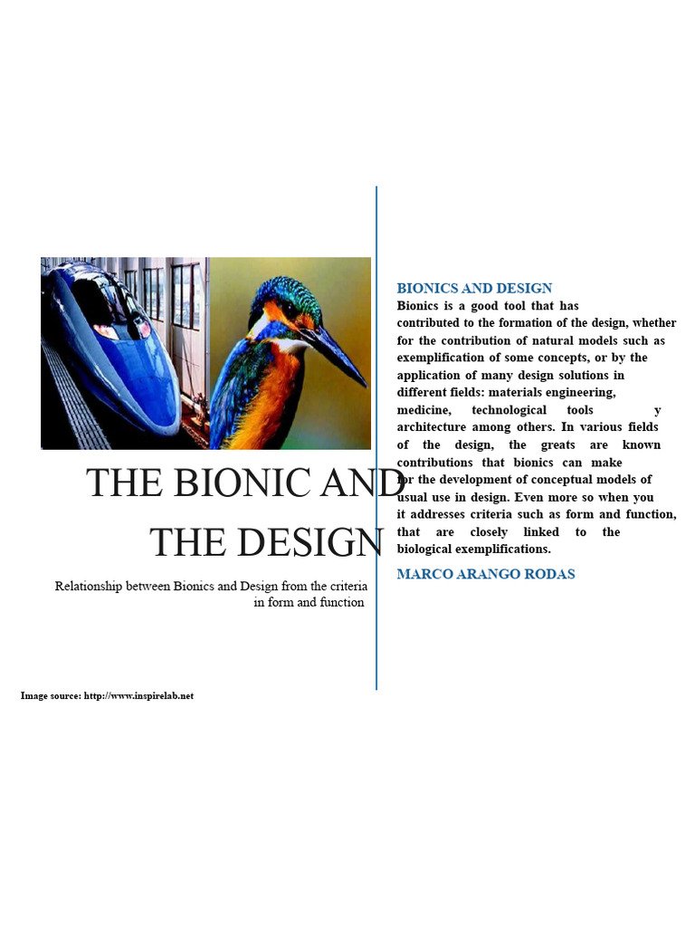 Bionics in Design: Form and Function | PDF | Perception | Science