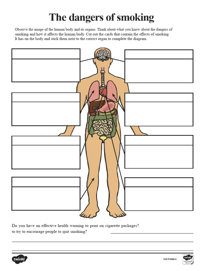 Es t2 T 1071 Activity Sheet The Dangers of Smoking | PDF