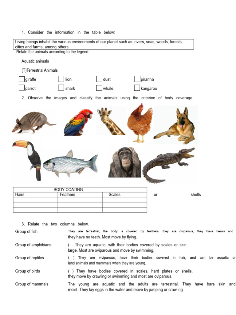 Science Assessment II Unit 4th Year BJS (Wilson) | PDF | Reptile | Mammals