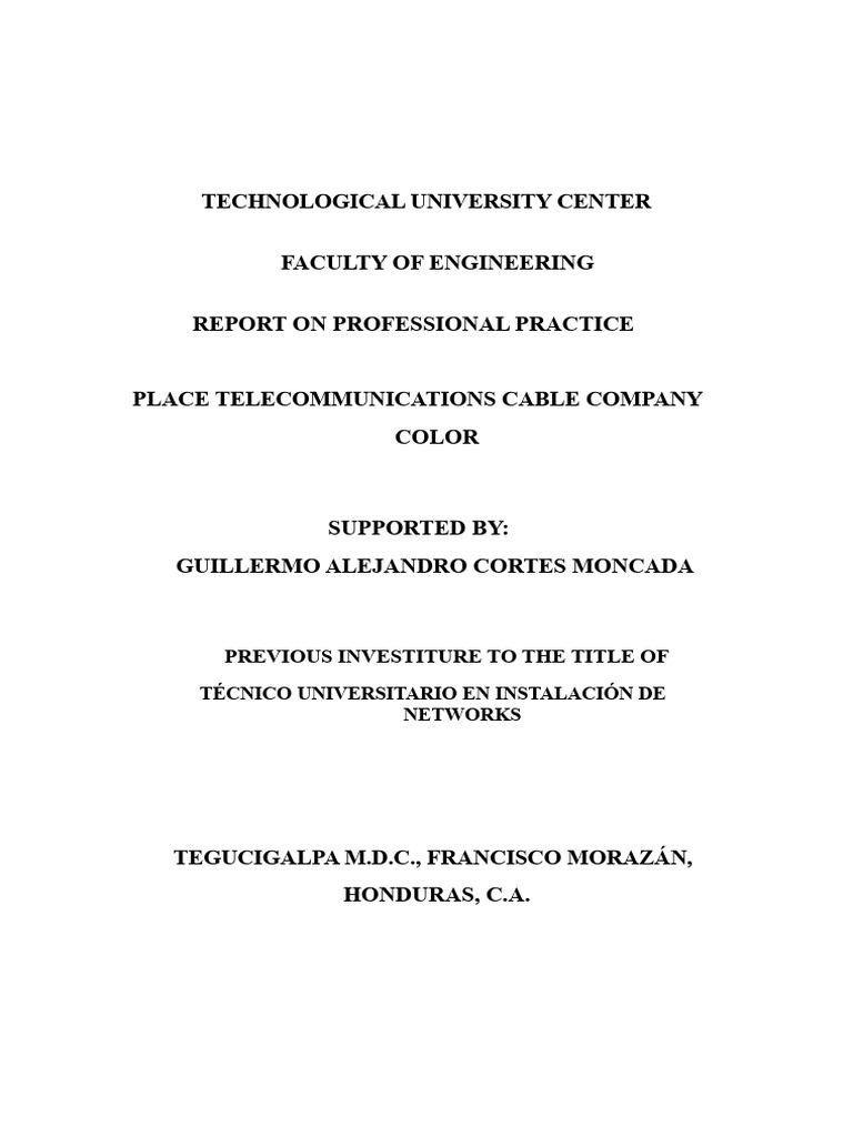 Final Professional Practice Report | PDF | Computer Network | Computing