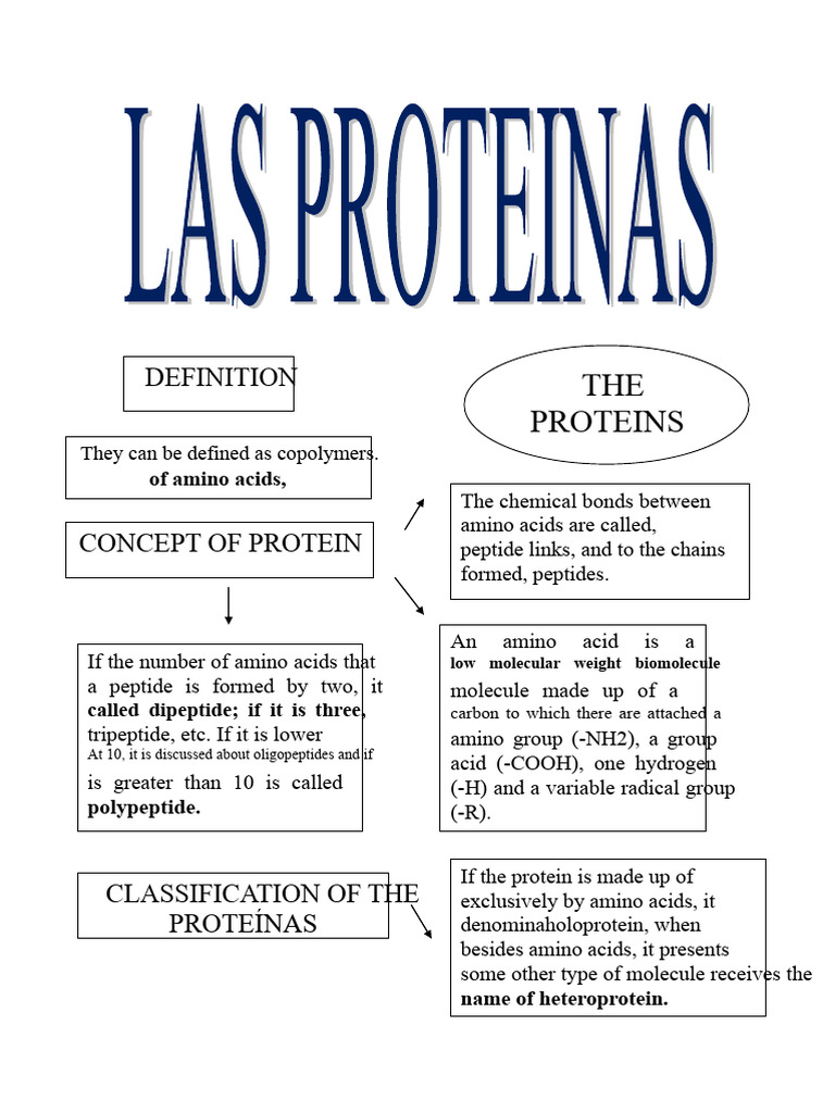 253131571-The-Proteins-Mind-Map.pdf | PDF | Protein Structure | Alpha Helix