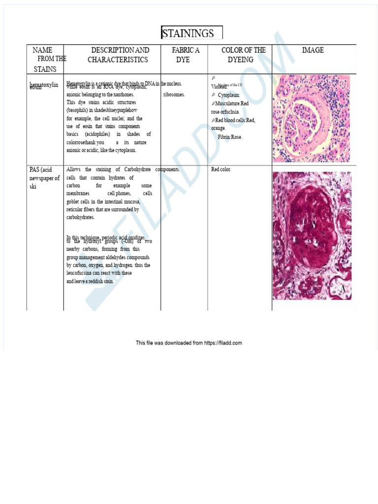PDF Staining Chart Compress 1 | PDF | Staining | Histology