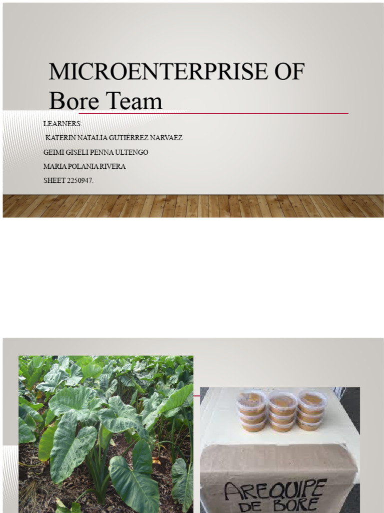 Creation of Bore Arequipe Microenterprise | PDF | Foods | Nutrition