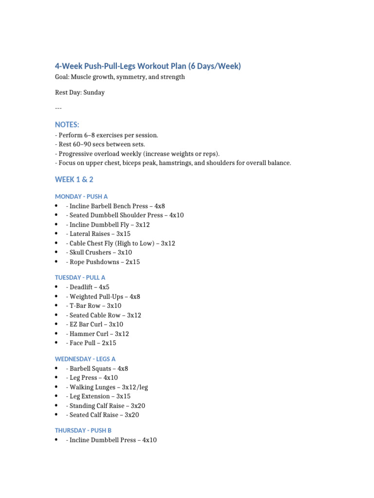 PPL Workout Monthly Plan | PDF