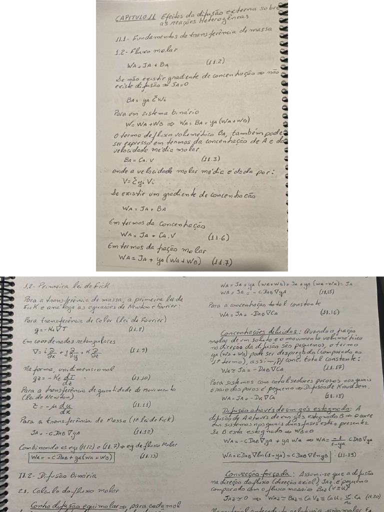 Apostila Cap 11 | PDF