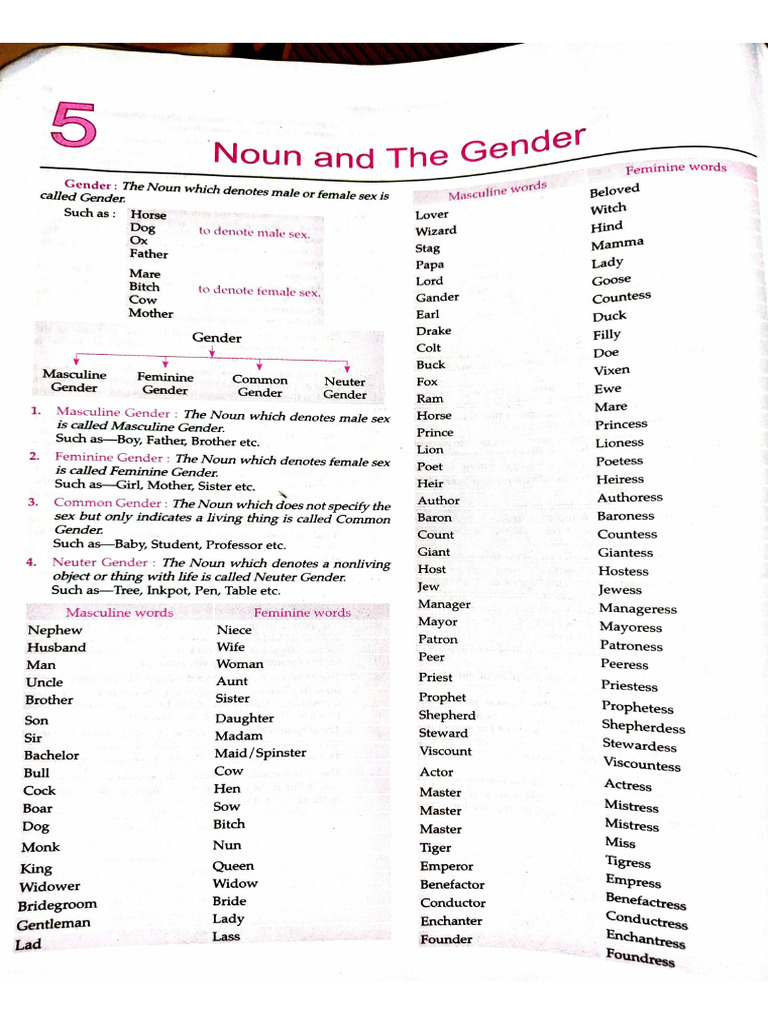 Noun and The Gender | PDF