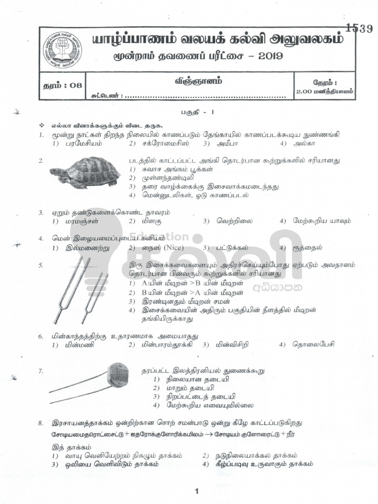 Gr8 Ta Science 2019 Term 3 | PDF