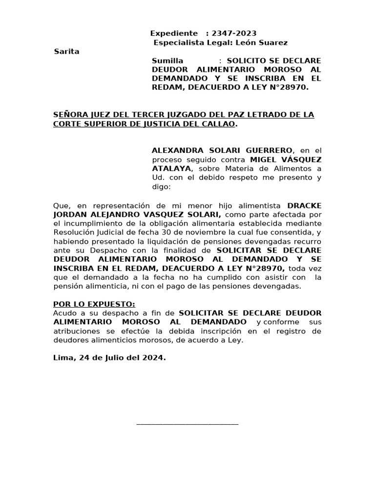 Solicitud de Deudor Alimentario Moroso | PDF