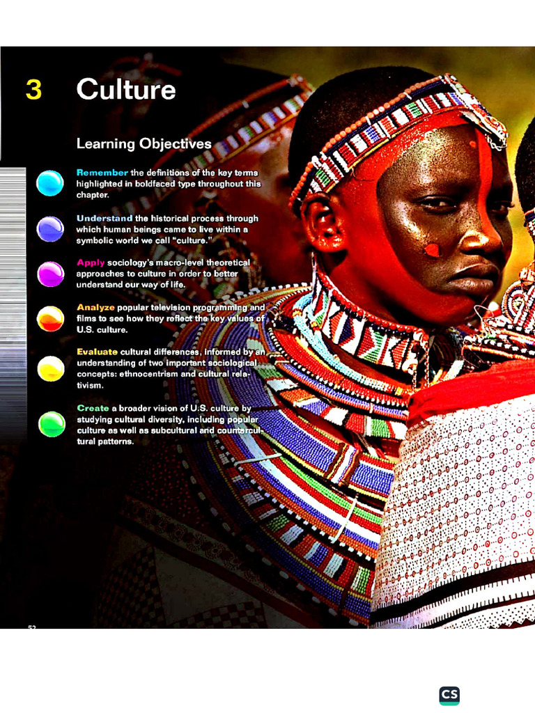 Culture | PDF