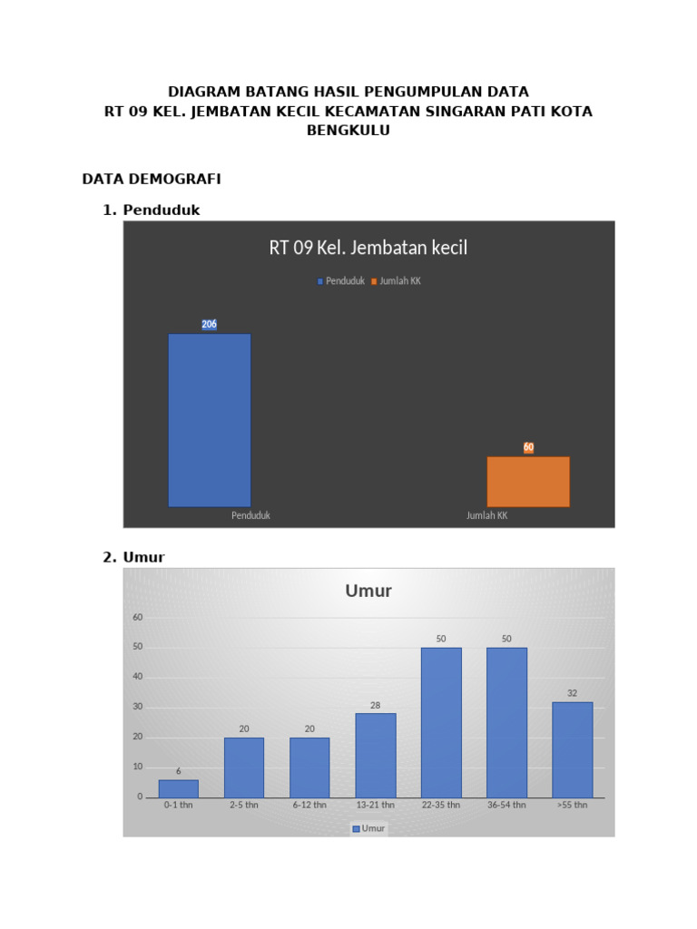 Diagram Batang Hasil Pengumpulan Data Rt 09 | PDF