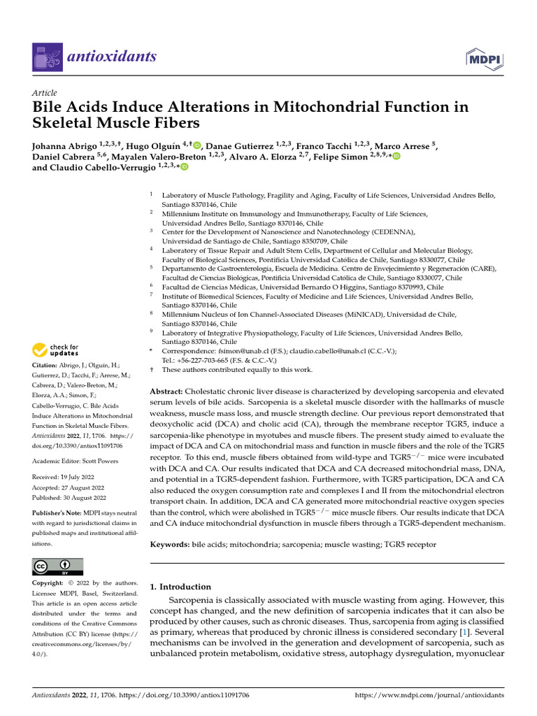 Bile Acids Impact Mitochondrial Function | PDF | Mitochondrion ...