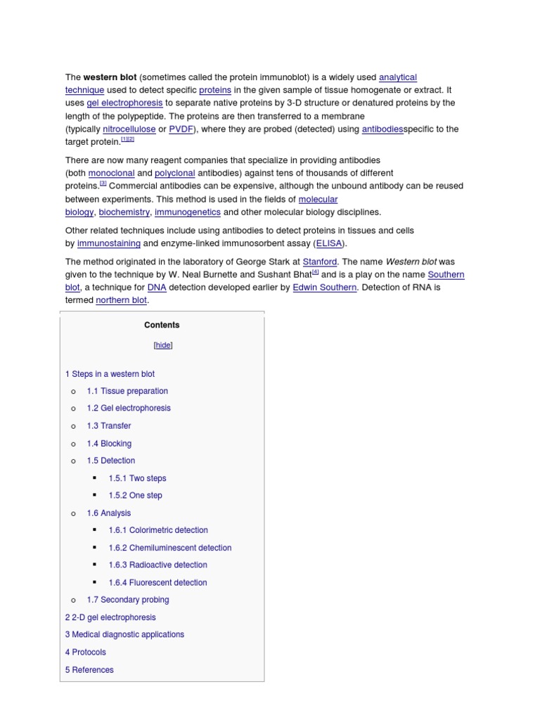 Western Blotting | PDF | Western Blot | Gel Electrophoresis