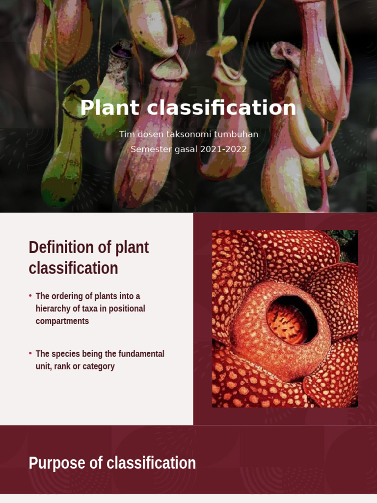 Understanding Plant Classification Systems | PDF | Phylogenetic Tree ...