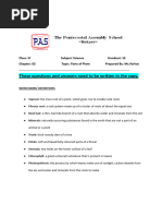 CGFNS Applicant Portal Guide | PDF | Identity Document | Nursing
