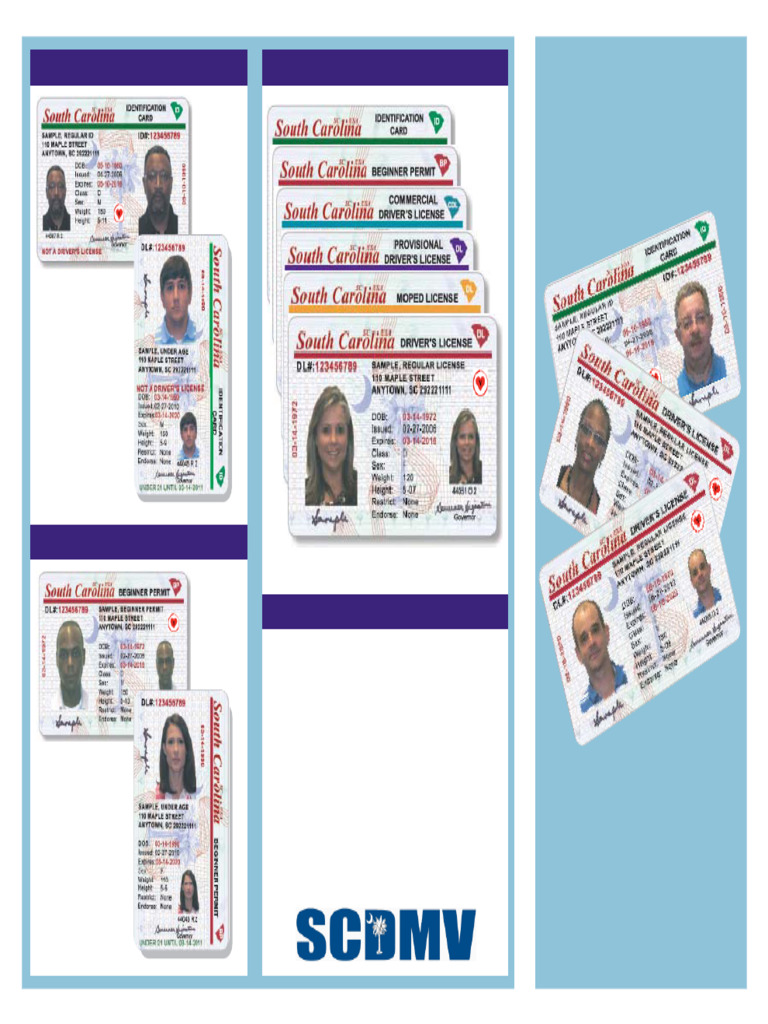 South Carolina DMV Identification Cards | PDF | Department Of Motor ...