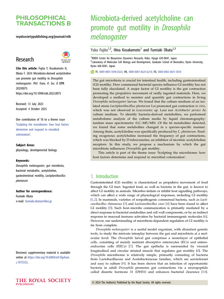 fujita-et-al-2024-microbiota-derived-acetylcholine-can-promote-gut ...
