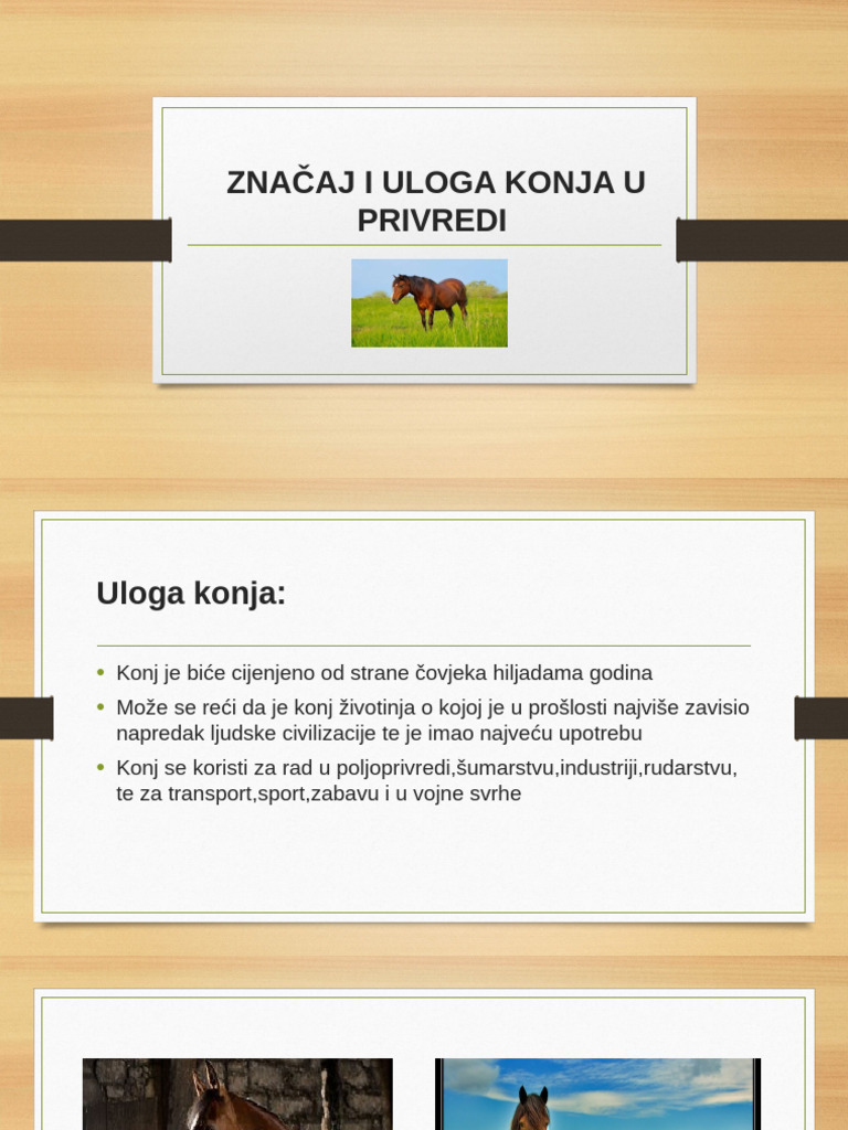 Značaj Konja | PDF