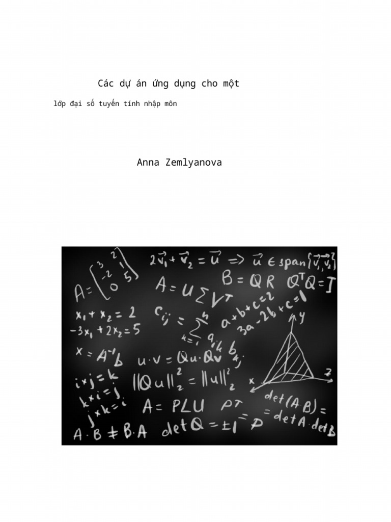 Linear Algebra Projects | PDF
