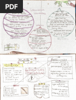 Ficha de Preparación 1ª Eval (6 Nov 2025 a La(s) 19:28) | PDF