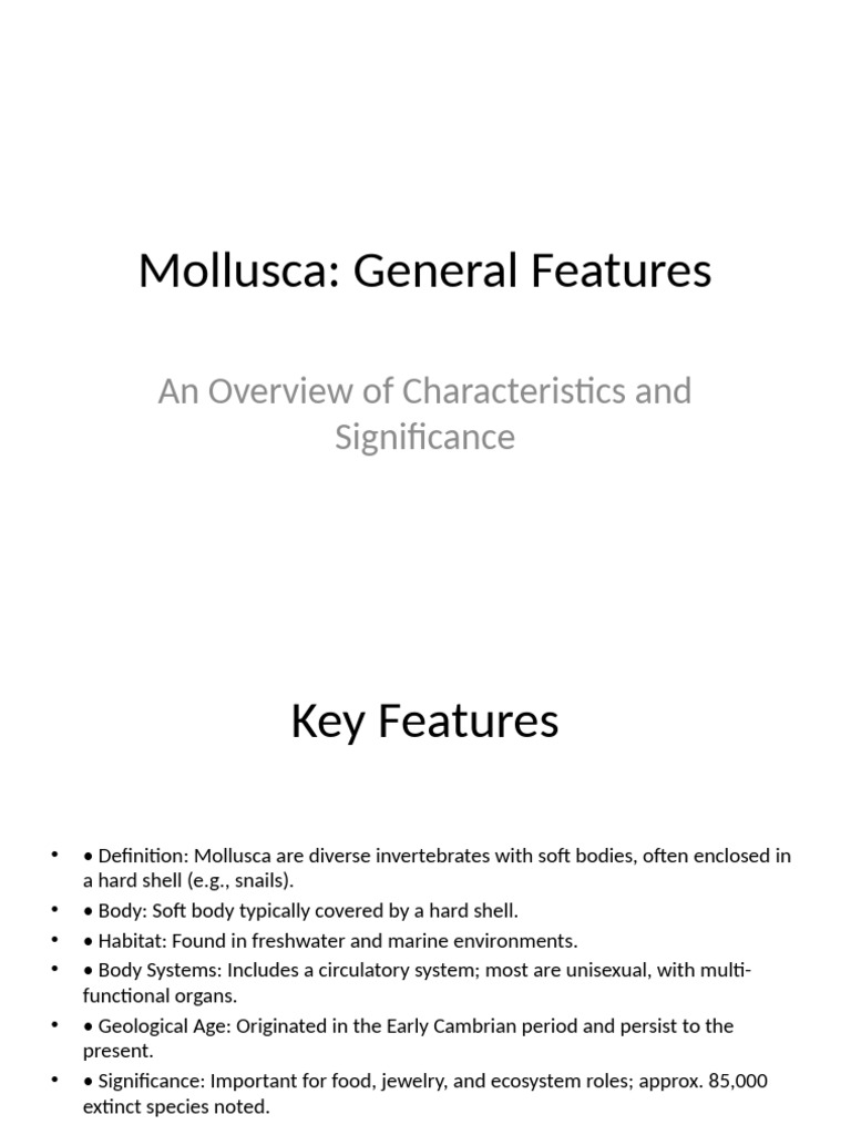 Mollusca Professional Slide | PDF