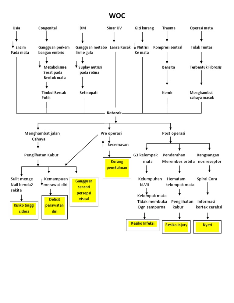 Pathway Katarak dan Perawatan Pre Operasi | PDF