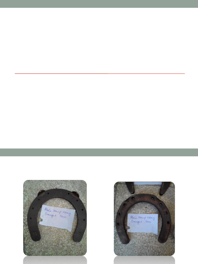 Types of Equine Shoes Explained | PDF | Shoe