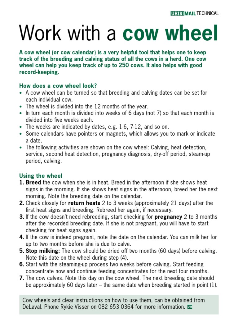 Cow Wheel | PDF | Herbivorous Animals | Cattle