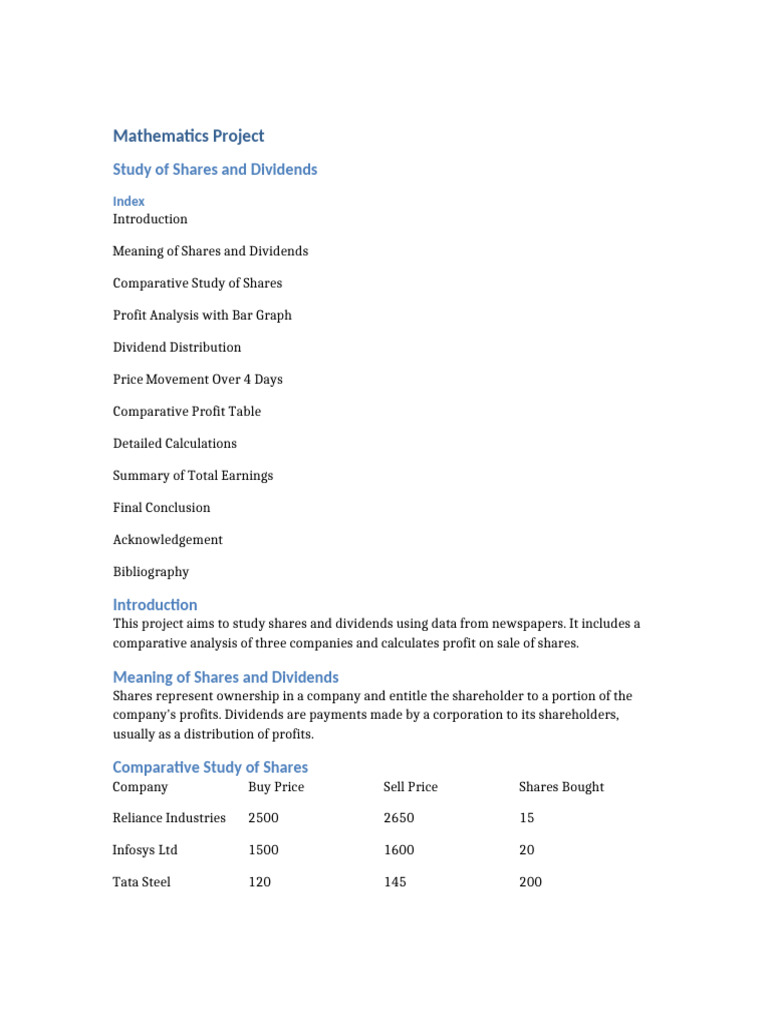 Math Project New Company | PDF