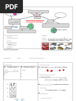 Materie en Materiale - Metale en Nie-Metale | PDF