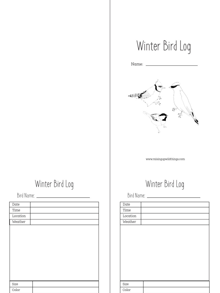 Winter Bird Observation Log | PDF