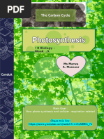 BTB Experiment: Photosynthesis & Respiration | PDF | Photosynthesis ...
