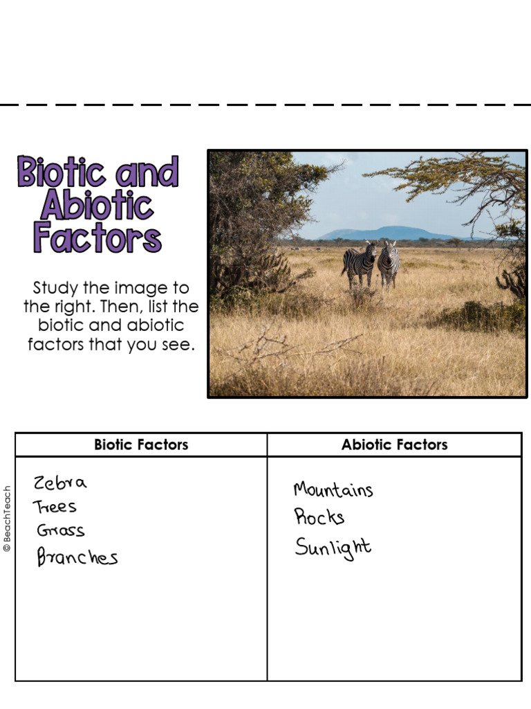 Biotic and Abiotic Factors Explained | PDF