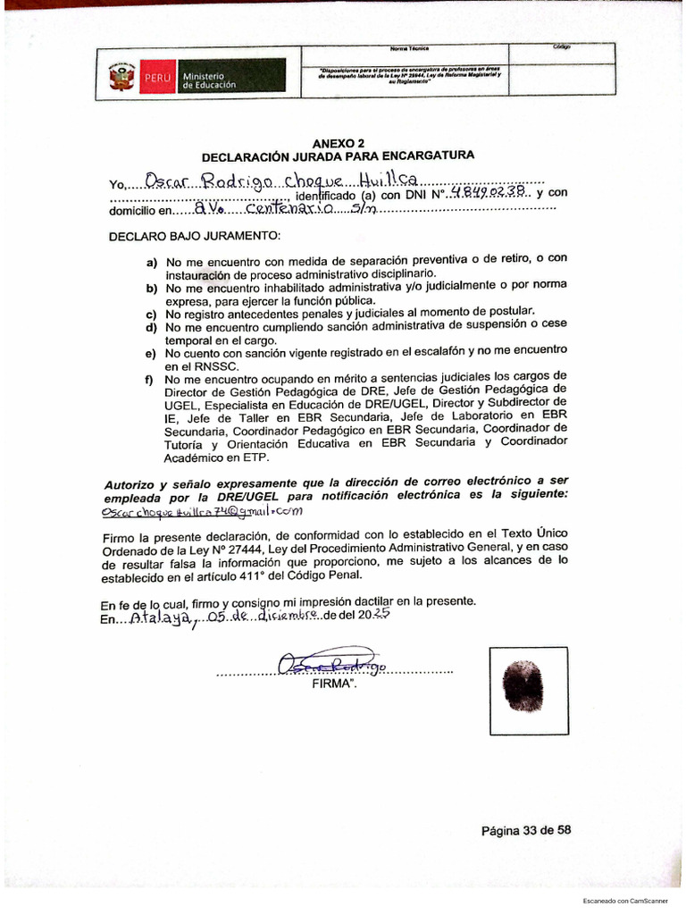Anexo 2 Llenado | PDF