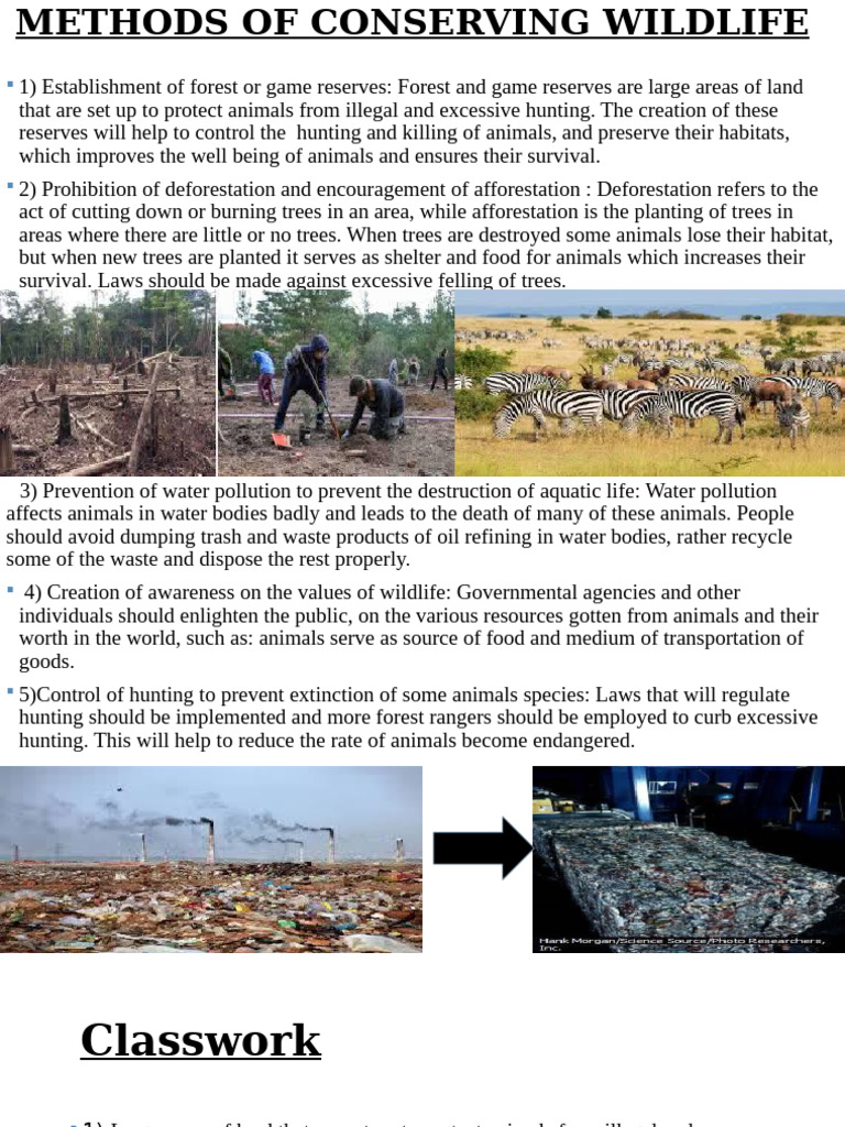 Wildlife Conservation Methods Explained | PDF