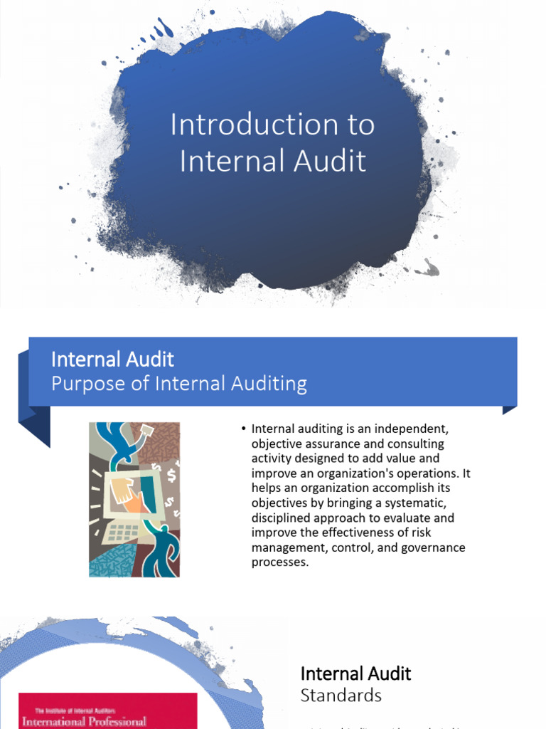 Internal Audit Overview and Standards | PDF | Internal Audit | Audit