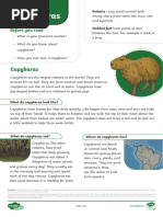 Capybara: Life in the Rainforest | PDF | Rodent | Books