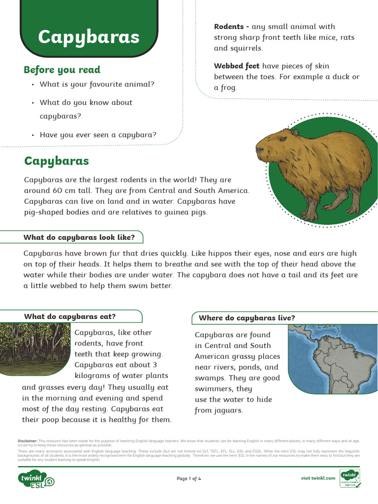 [DONE] t 1717089337 Esl Capybara Reading Comprehension Teens a1 Ver 1 ...