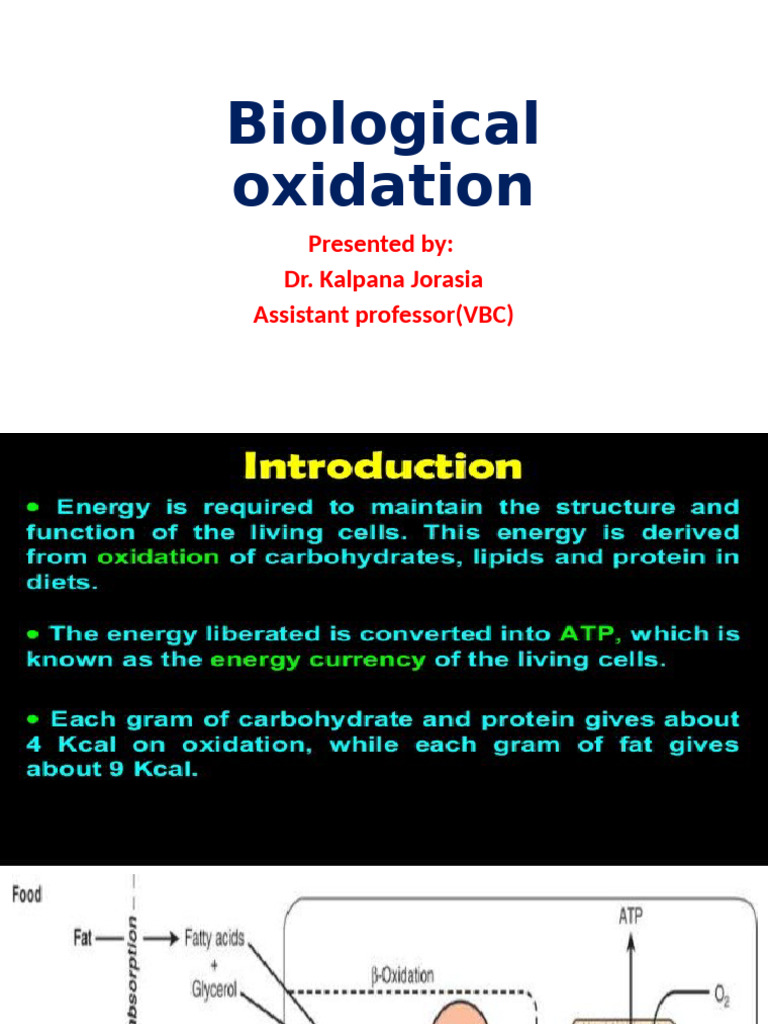 Understanding Biological Oxidation Processes | PDF | Electron Transport ...