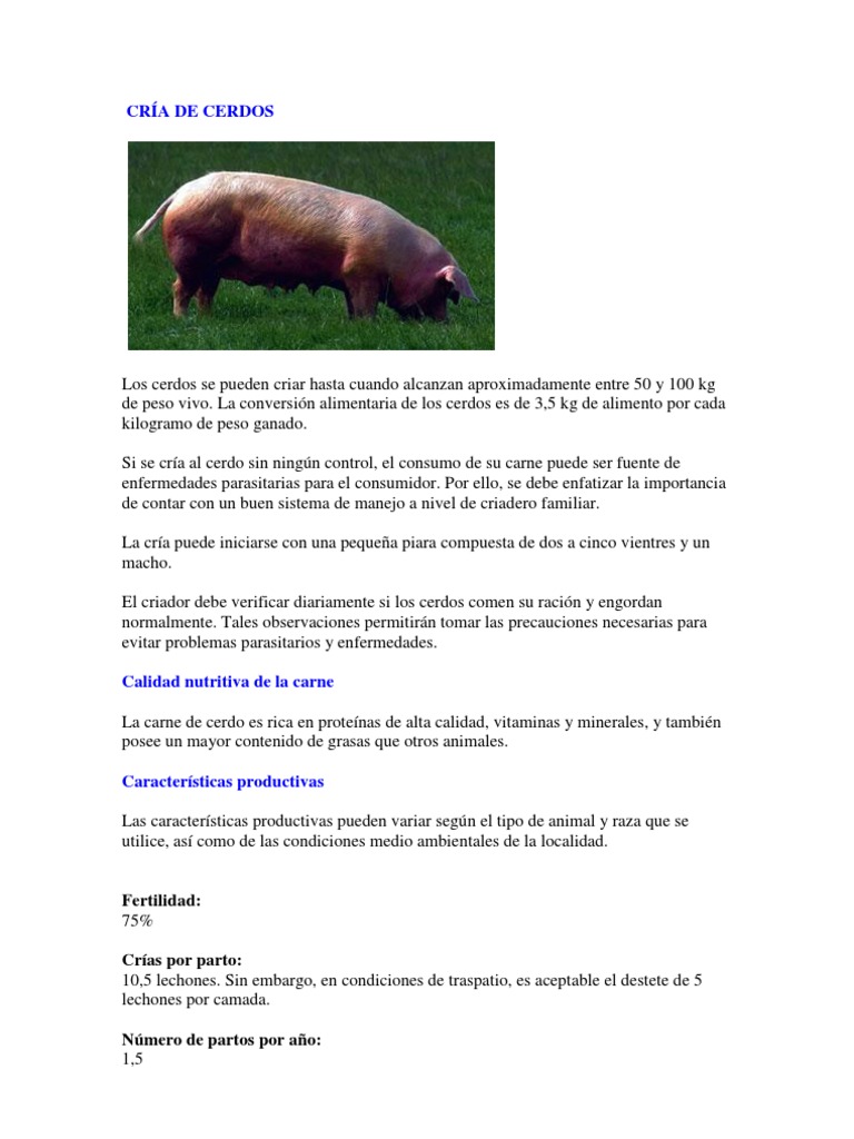 Cría de Cerdos | PDF | Parto | Cerdo doméstico