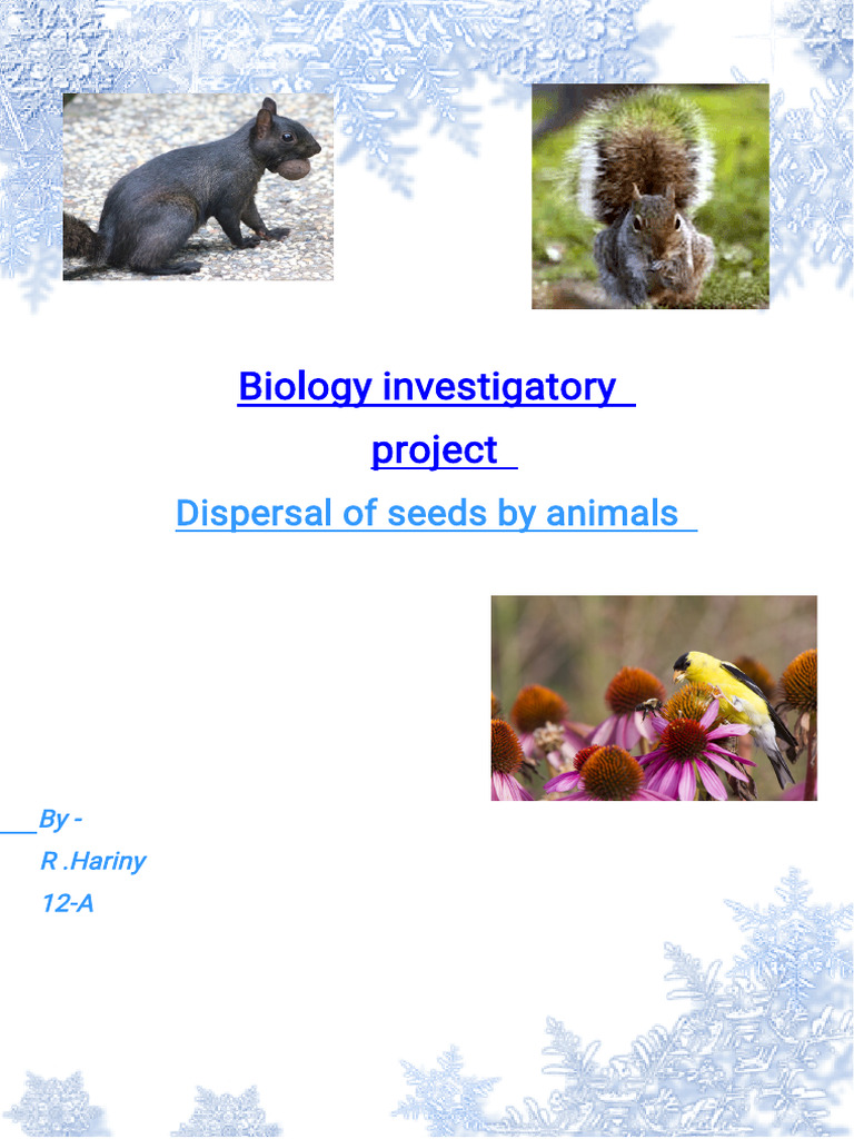 Seed Dispersal by Animals Explained | PDF | Fruit | Organisms