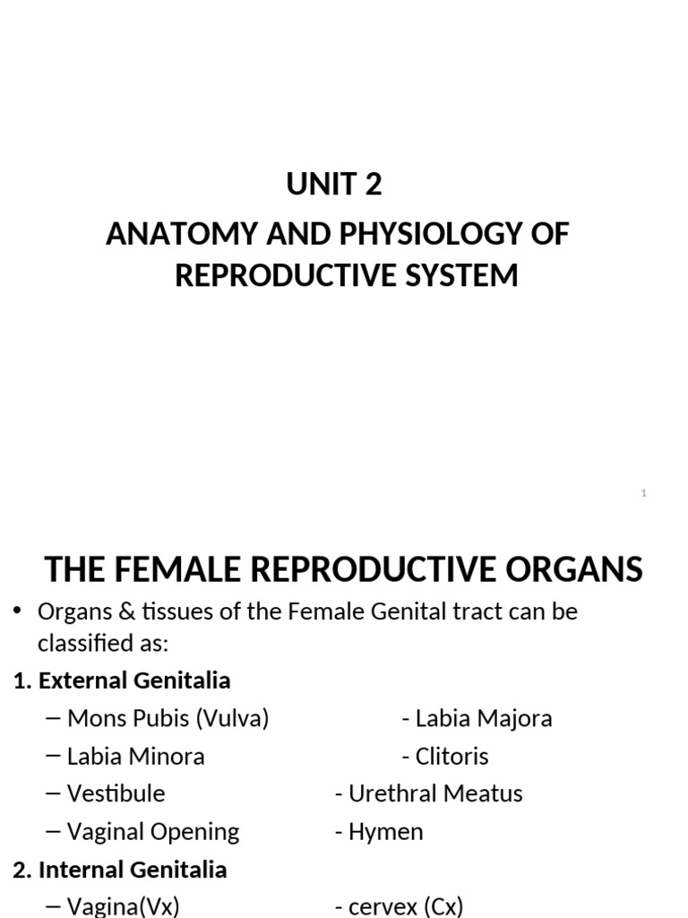 c2 Anatomy and Physiology of Reproductive System | PDF | Menstrual ...