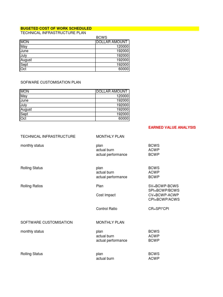 Ariba Implementation | PDF