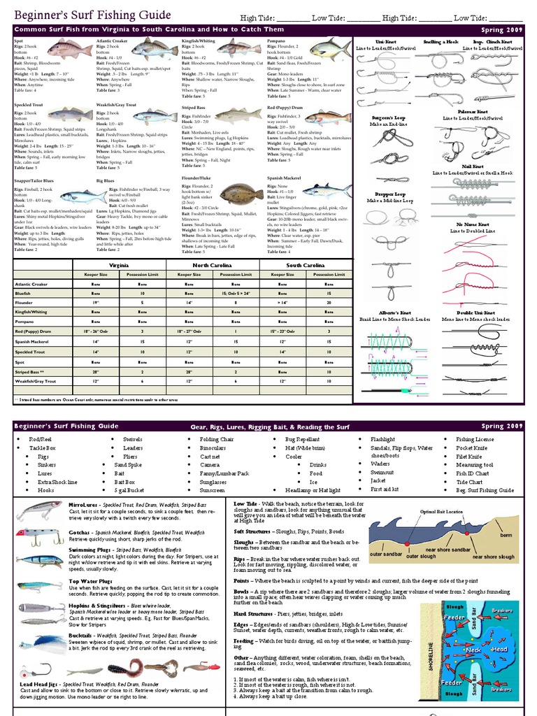 Beginner's Guide to Surf Fishing | PDF | Fishing Tackle | Fish