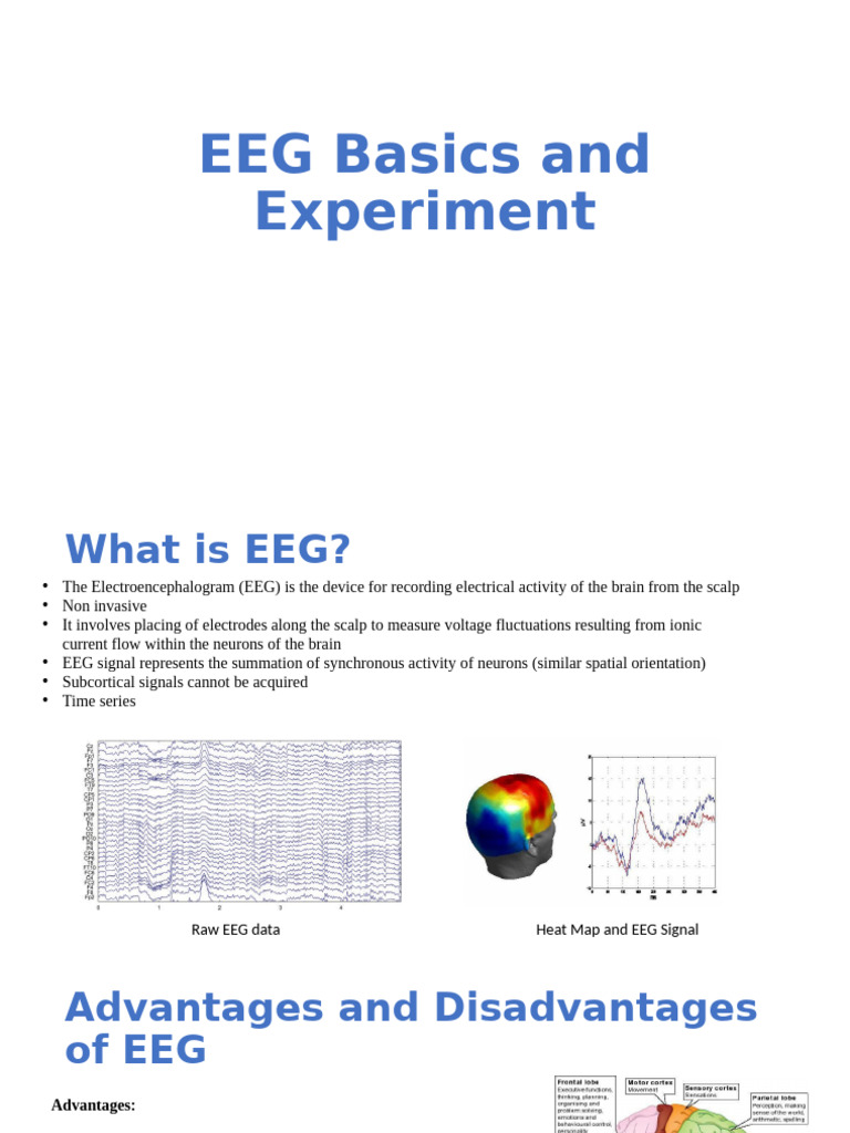 EEG Fundamentals: Signals and Applications | PDF | Neural Oscillation ...